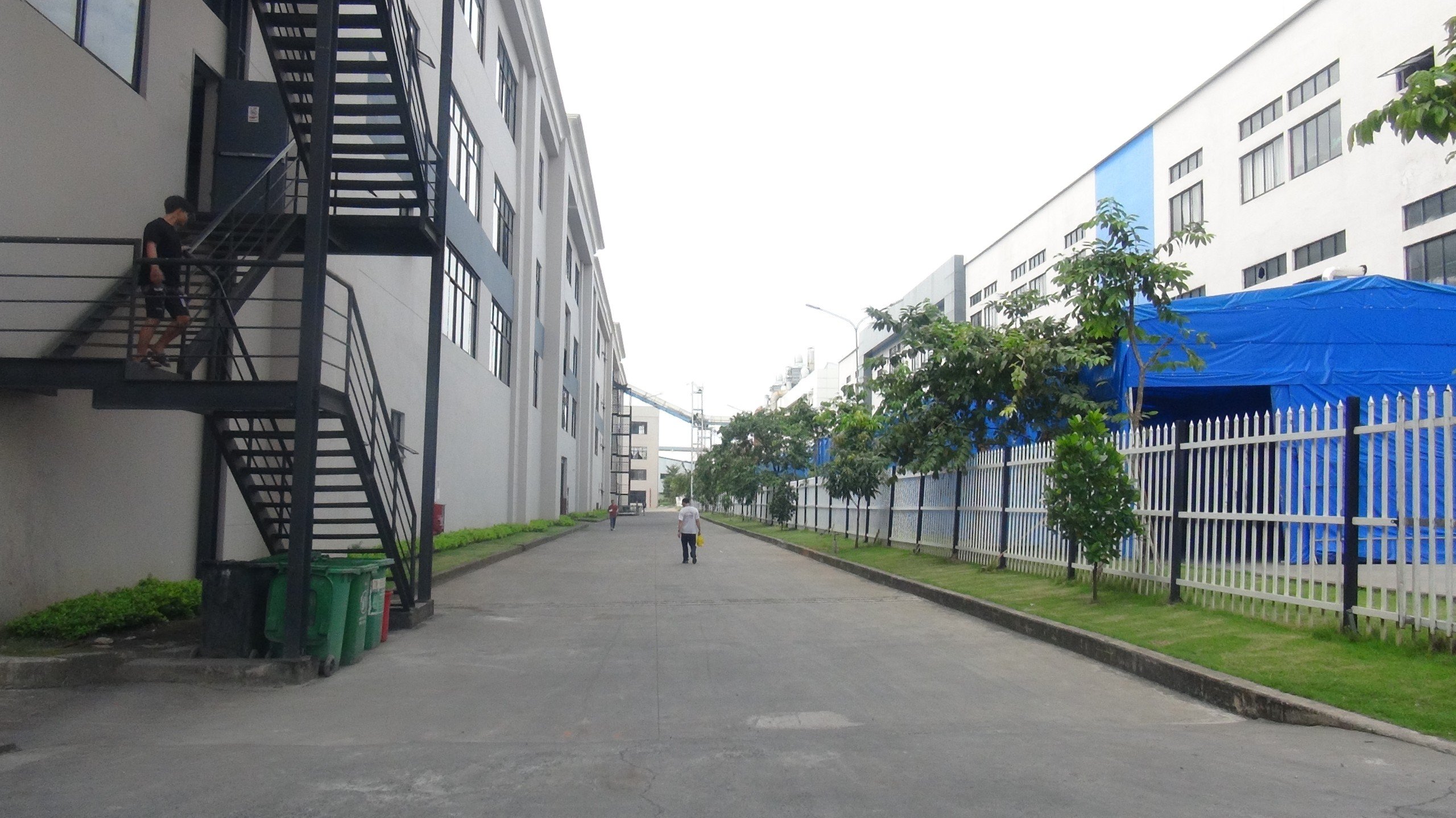 Thi Công Cảnh Quan Nhà Máy Uniwin Việt Nam - Vườn Cây